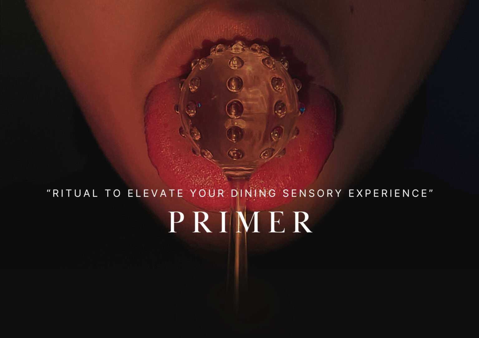 PRIMER – GSA Showcase 2023